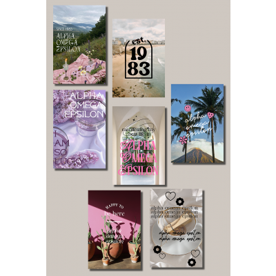 Alpha Omega Epsilon Shop